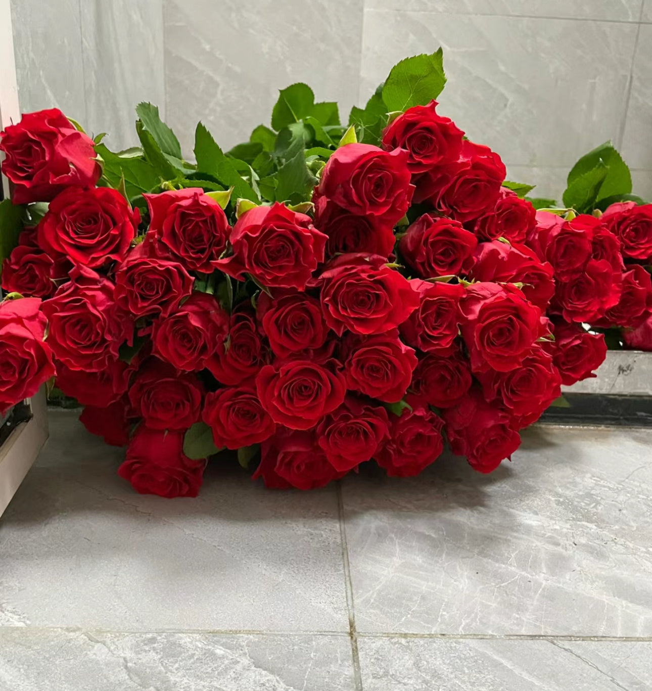 Yard Roses – Youna Botanic